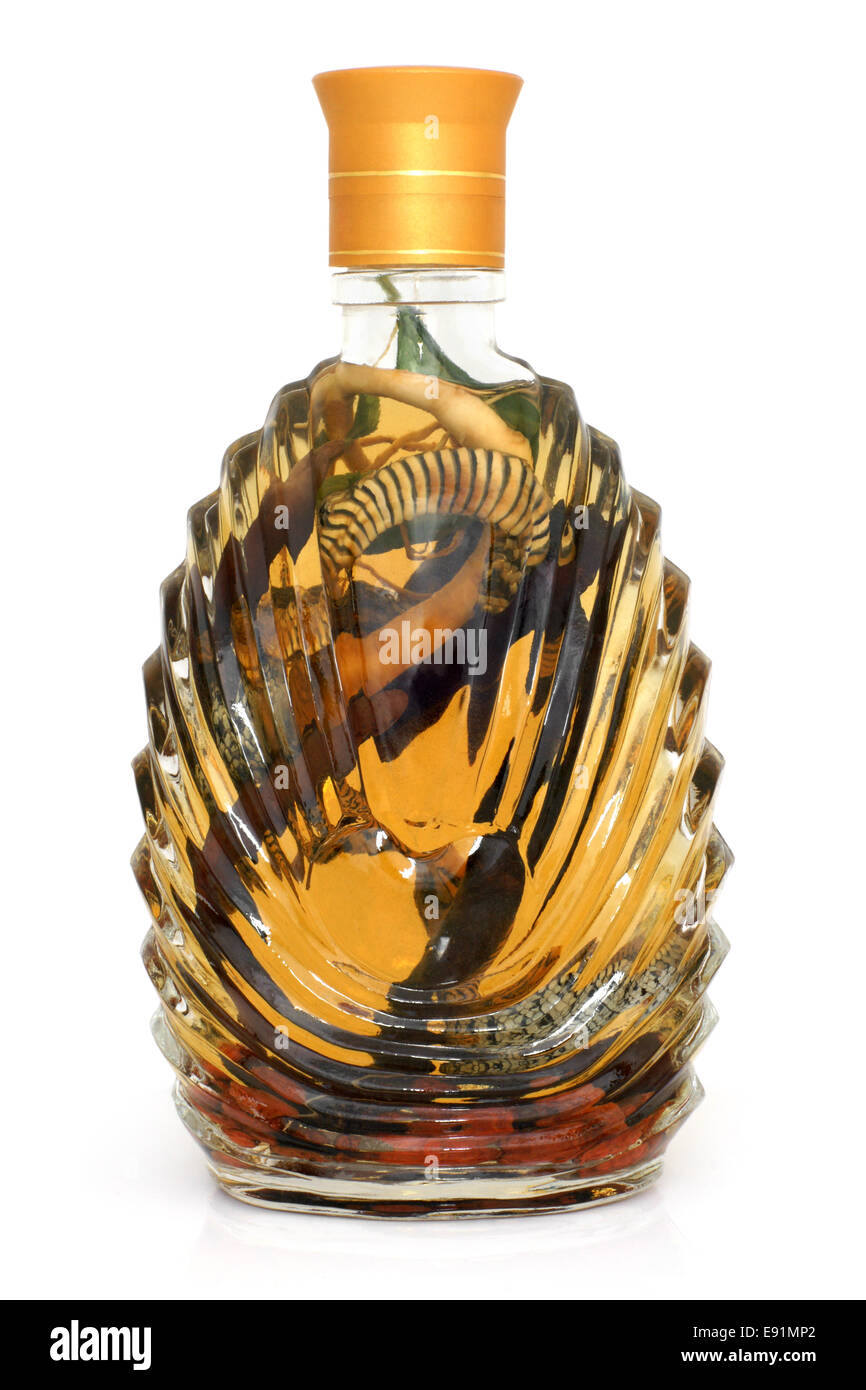 Closeup snake poisonous viper Cut Out Stock Images & Pictures - Alamy