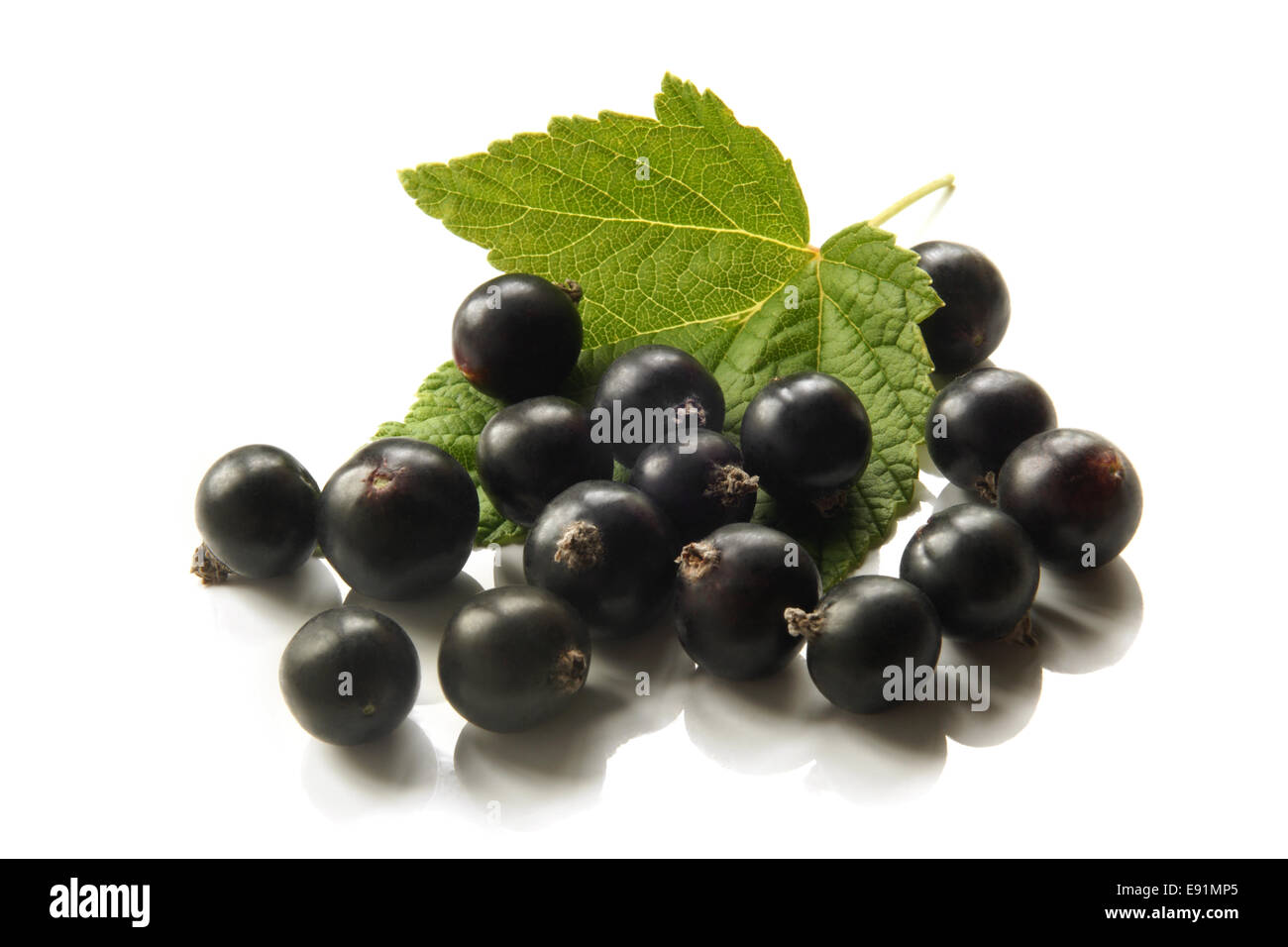 Black currant close up berries Cut Out Stock Images & Pictures - Alamy