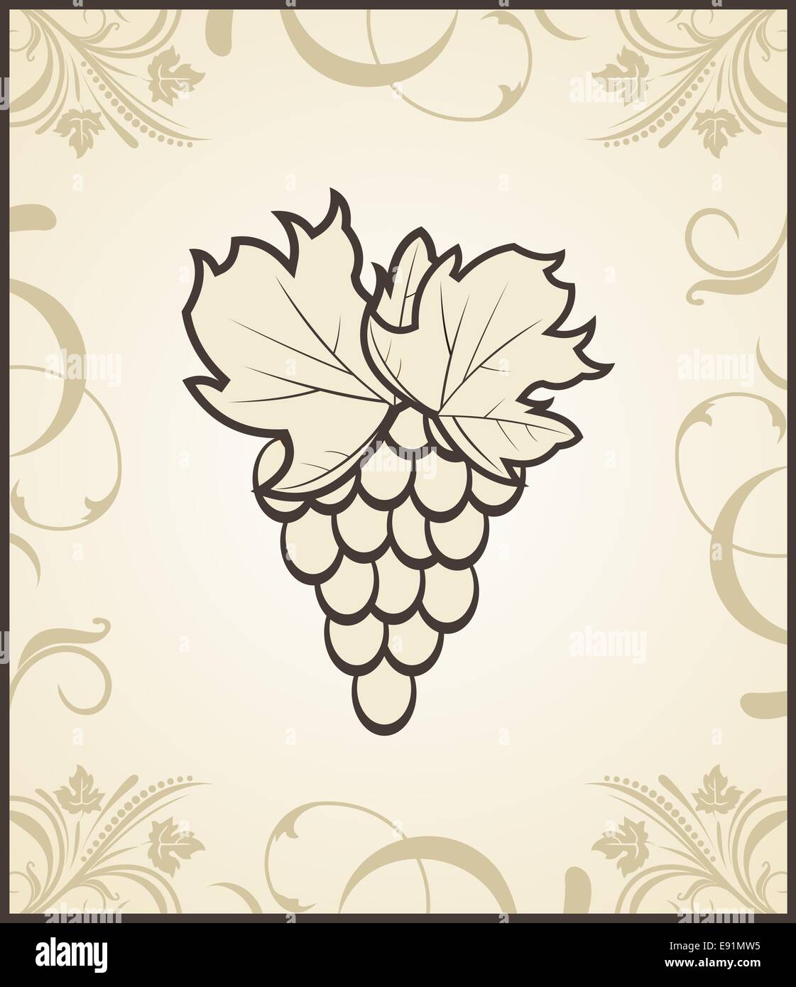 Grapevine drawing hi-res stock photography and images - Alamy