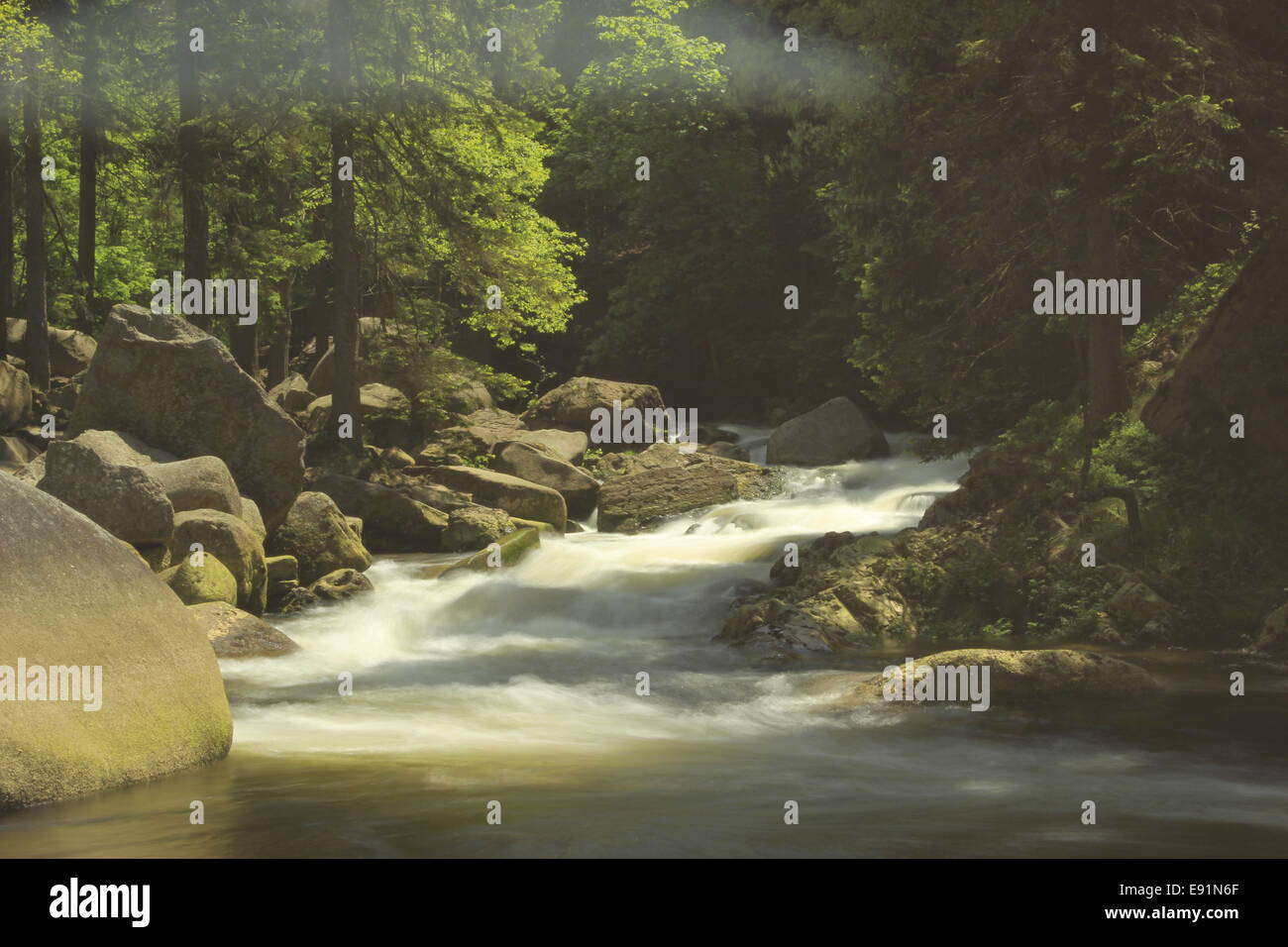 River oker oker valley harz hi-res stock photography and images - Alamy