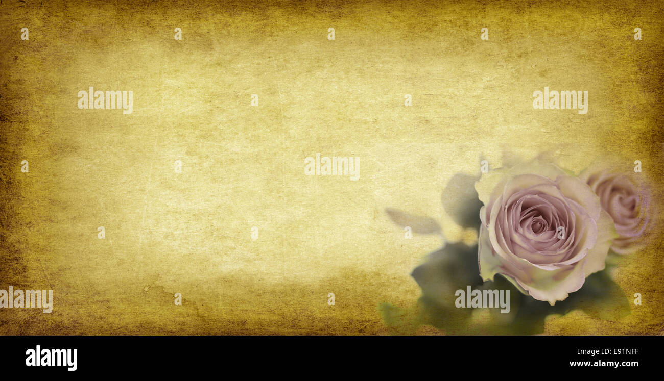 Aquarell rose hi-res stock photography and images - Alamy