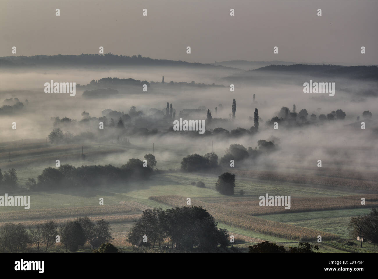 Sleepy hollow tree hi-res stock photography and images - Alamy
