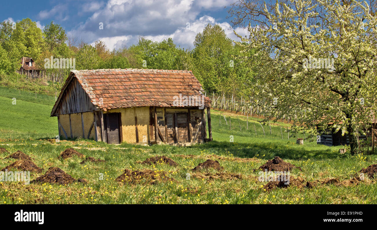 Springtime view on old traditional cottage Stock Photo - Alamy