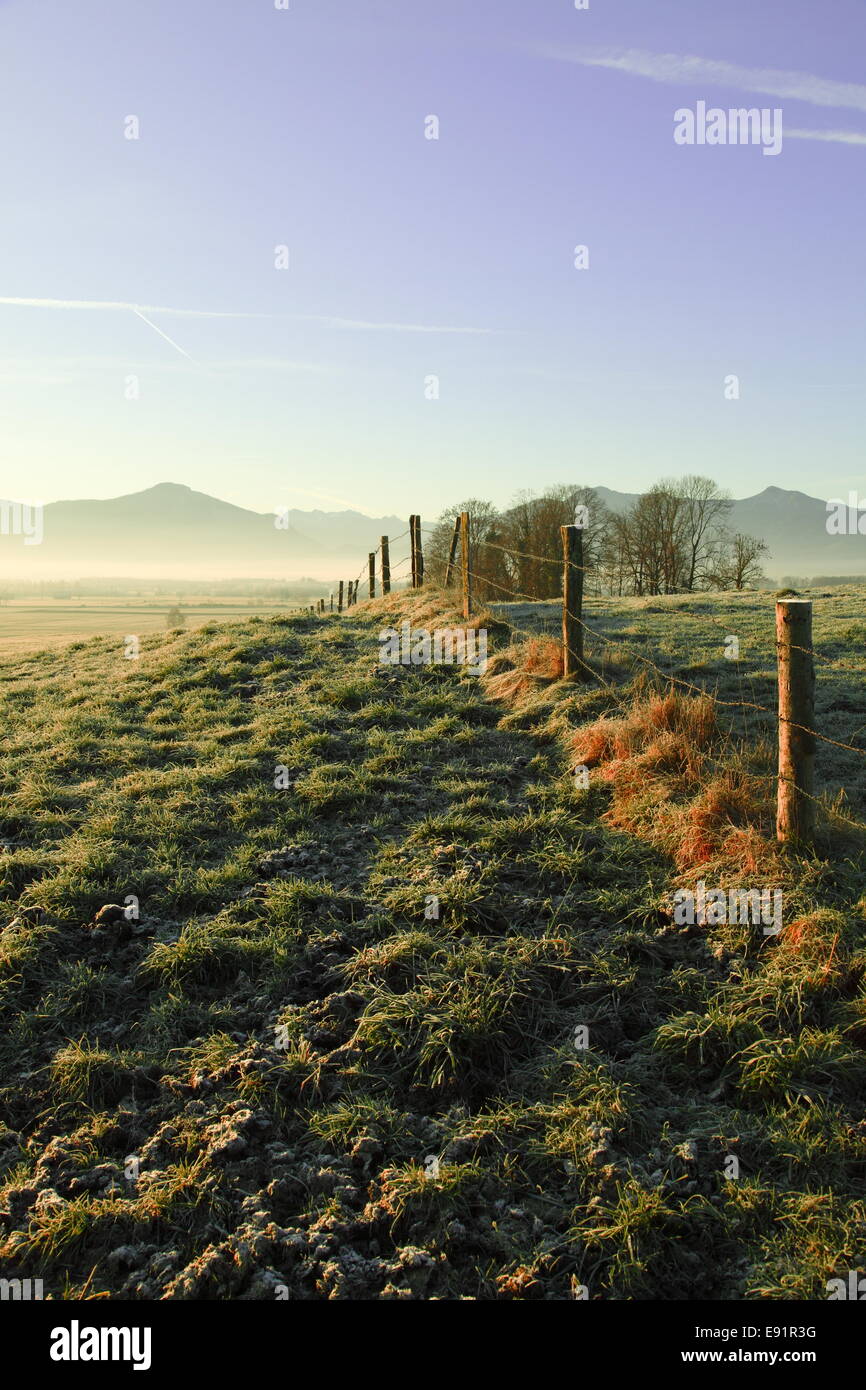 Motley field hi-res stock photography and images - Alamy