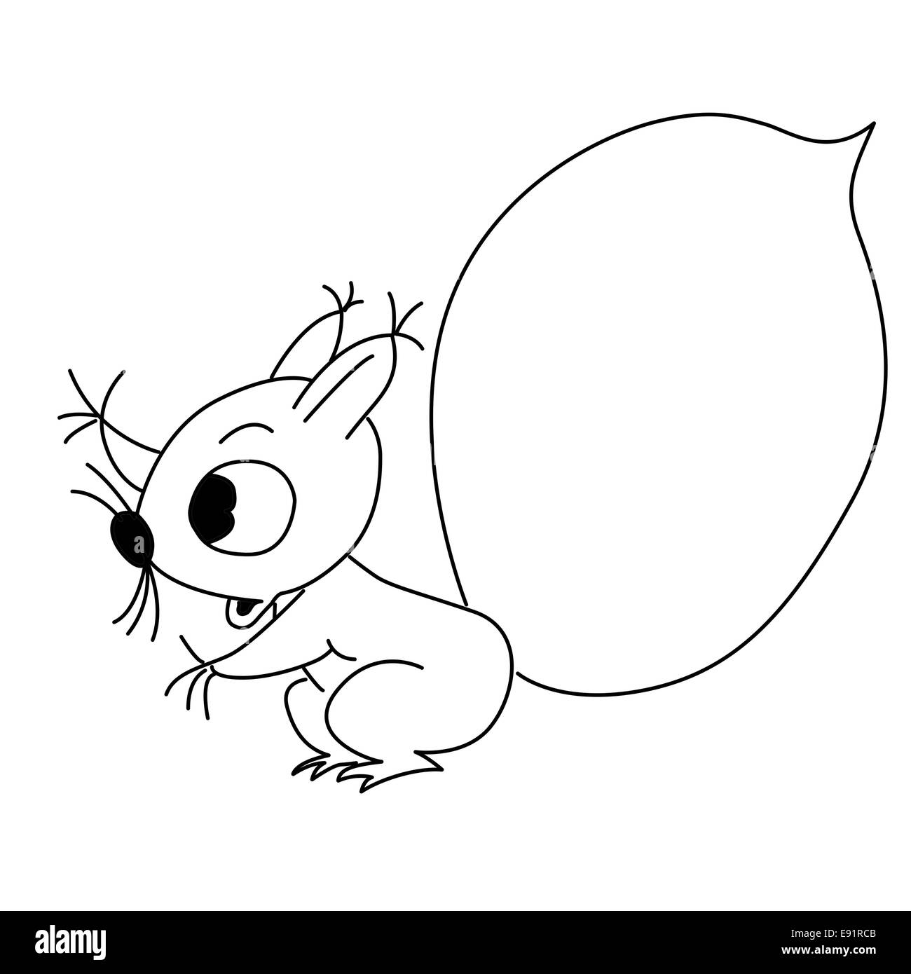 drawing squirrel on white background Stock Photo - Alamy
