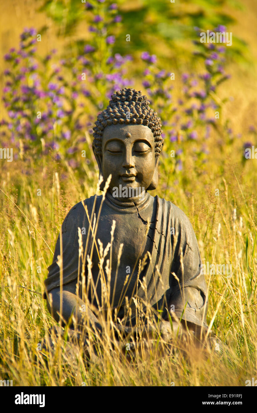 Buddhismus blumen hi-res stock photography and images - Alamy
