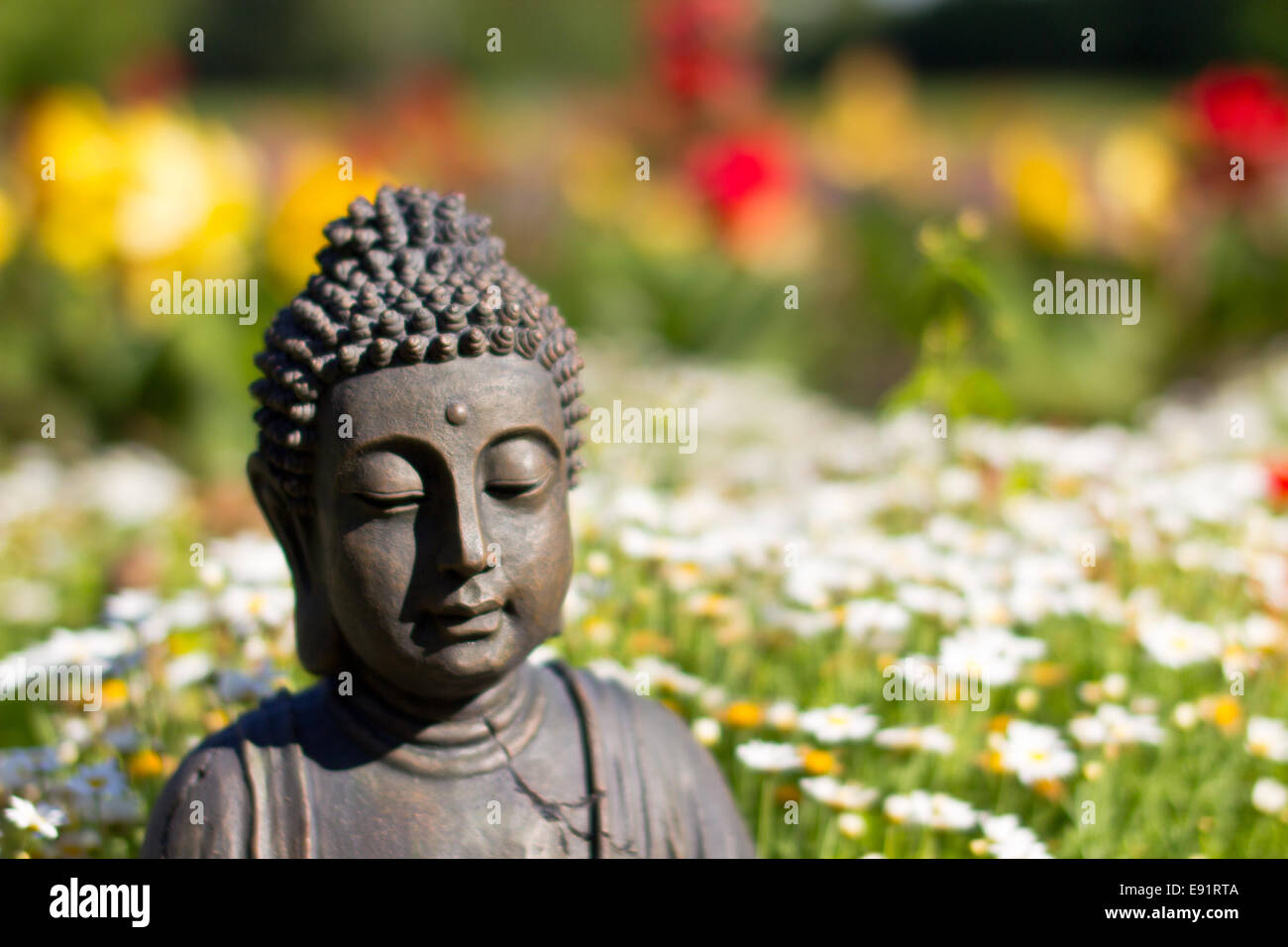 Buddha Meditation in a field of flowers Stock Photo - Alamy