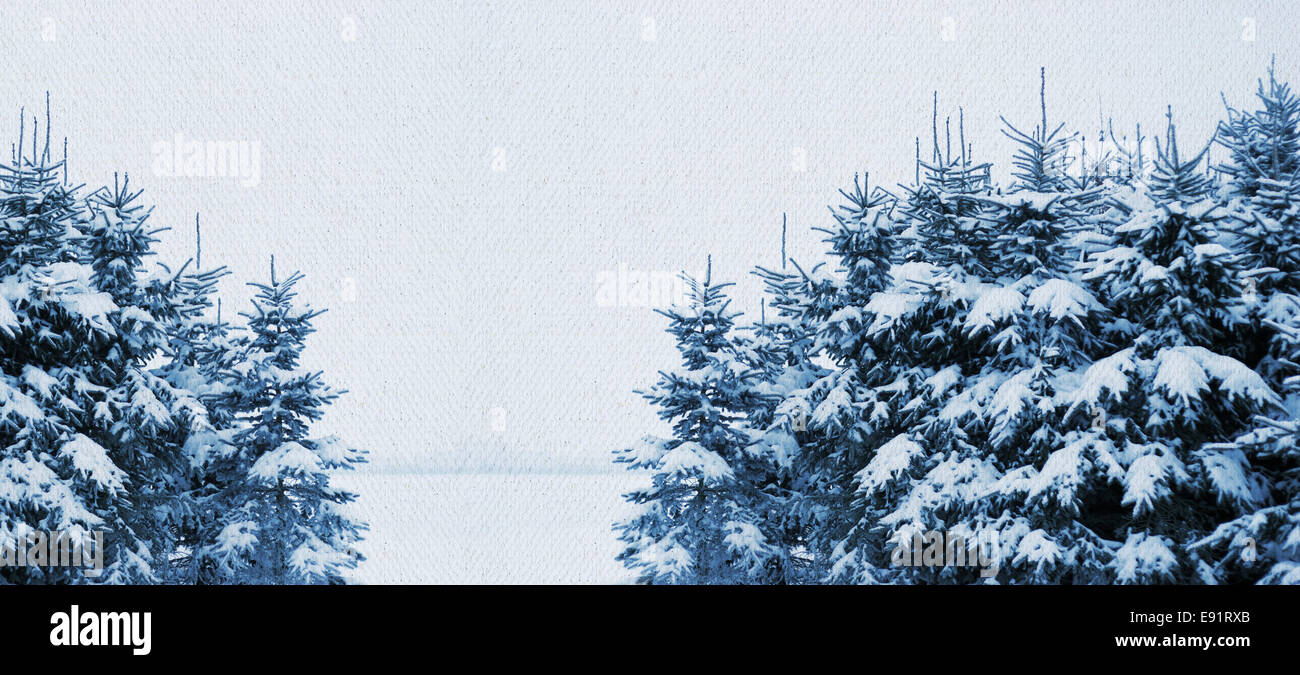 winter fir trees Stock Photo - Alamy