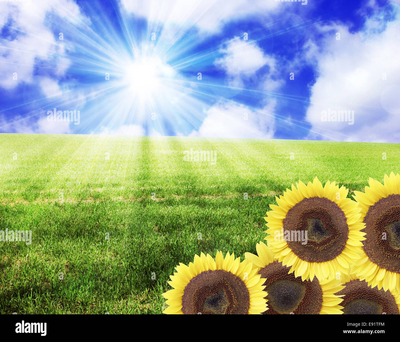 streaming sunlight landscape Stock Photo - Alamy