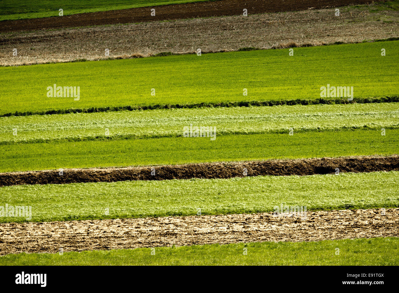 Agriculture layers - fields and meadows Stock Photo - Alamy