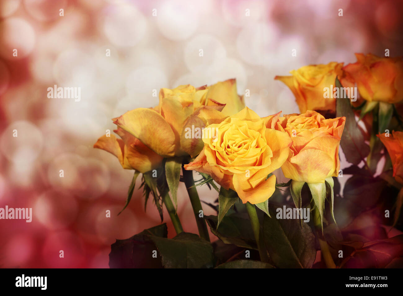 bunch of roses on light background Stock Photo - Alamy