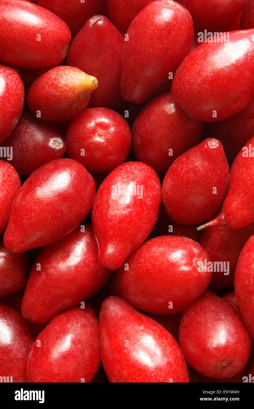 Cherry cornelian hi-res stock photography and images - Alamy