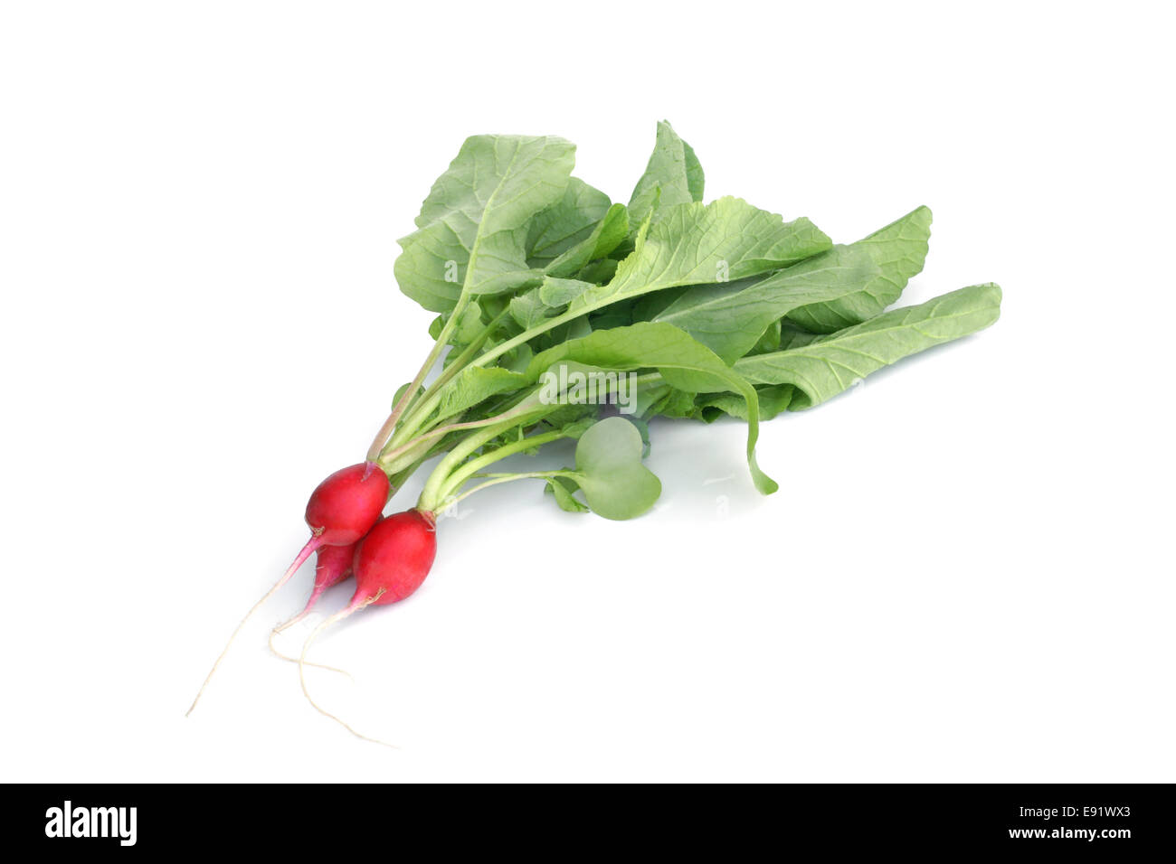 Fresh small red radishes Cut Out Stock Images & Pictures - Alamy