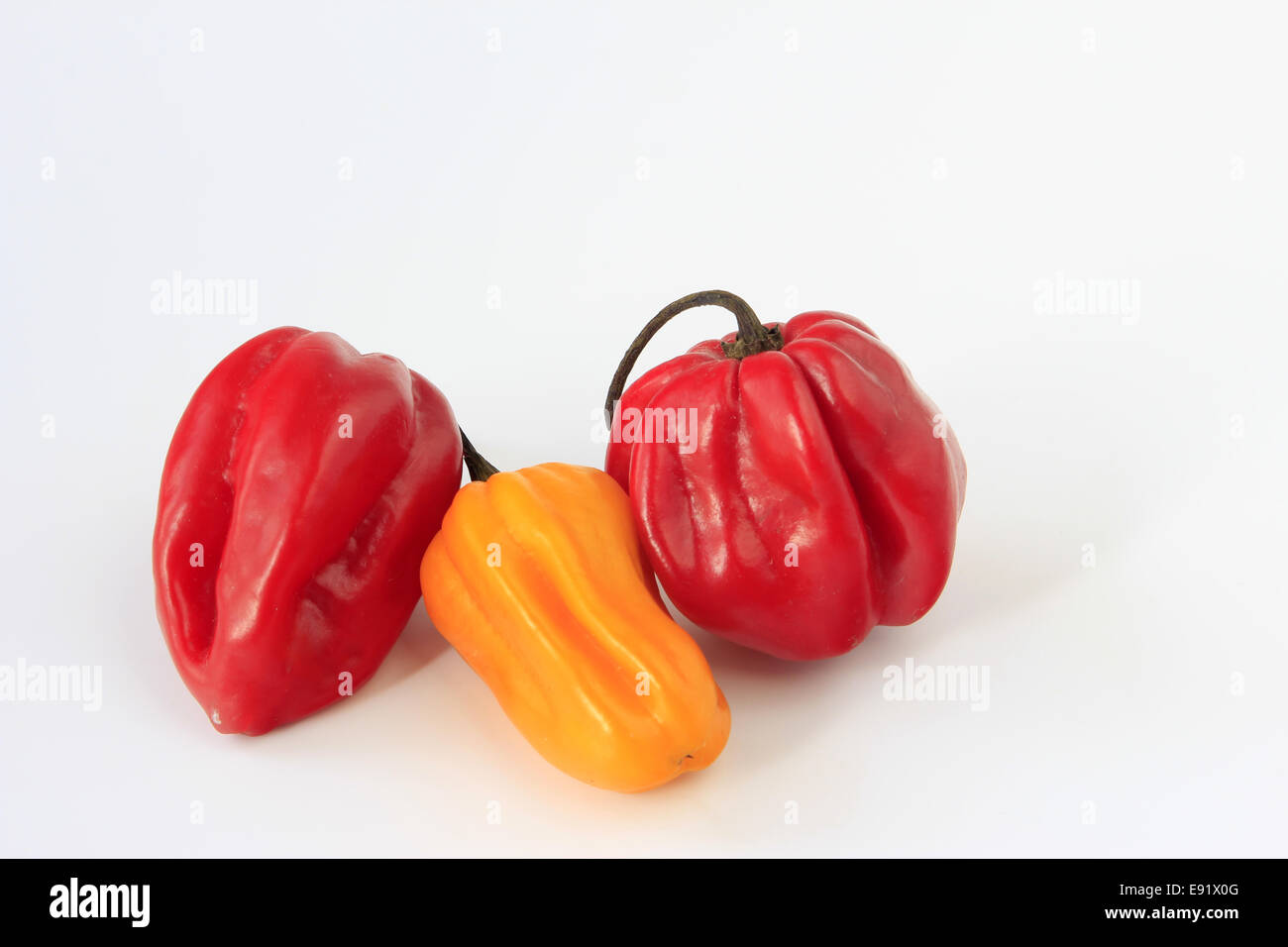 Chili lantern hi-res stock photography and images - Alamy