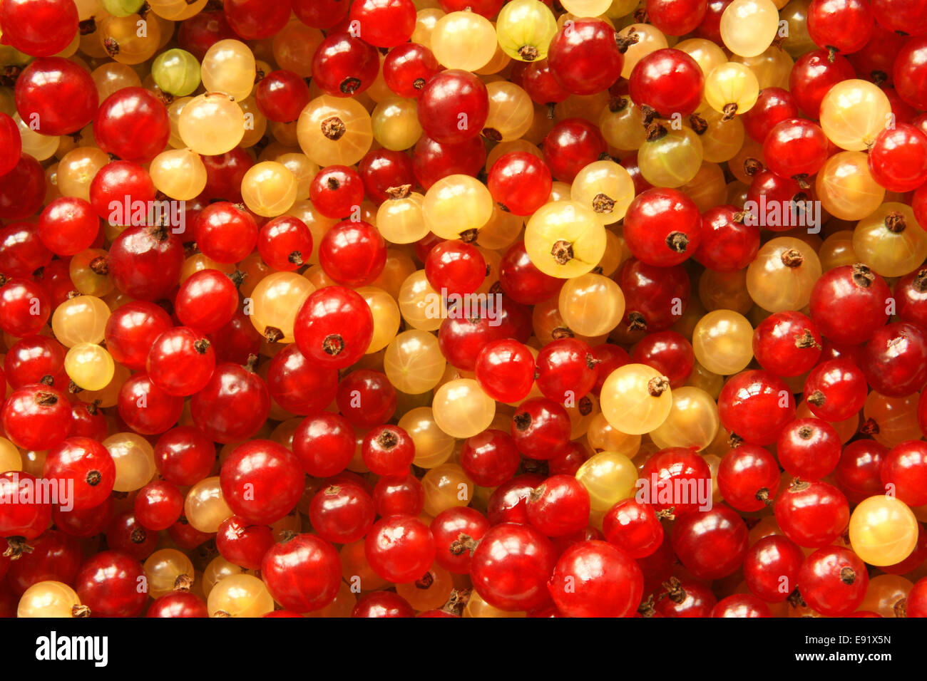 Red currant texture hi-res stock photography and images - Alamy