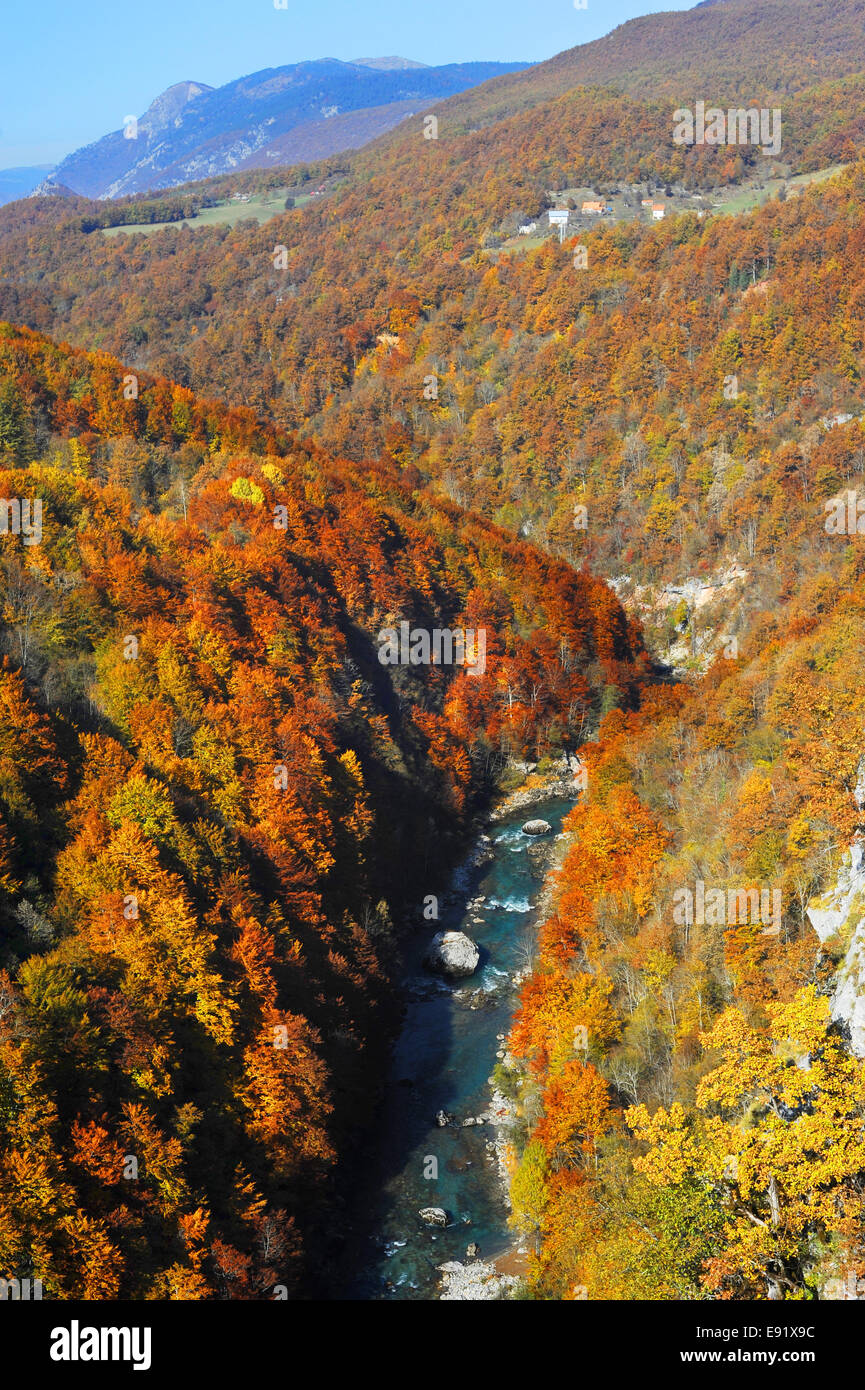Tara River Gorge Stock Photo - Alamy