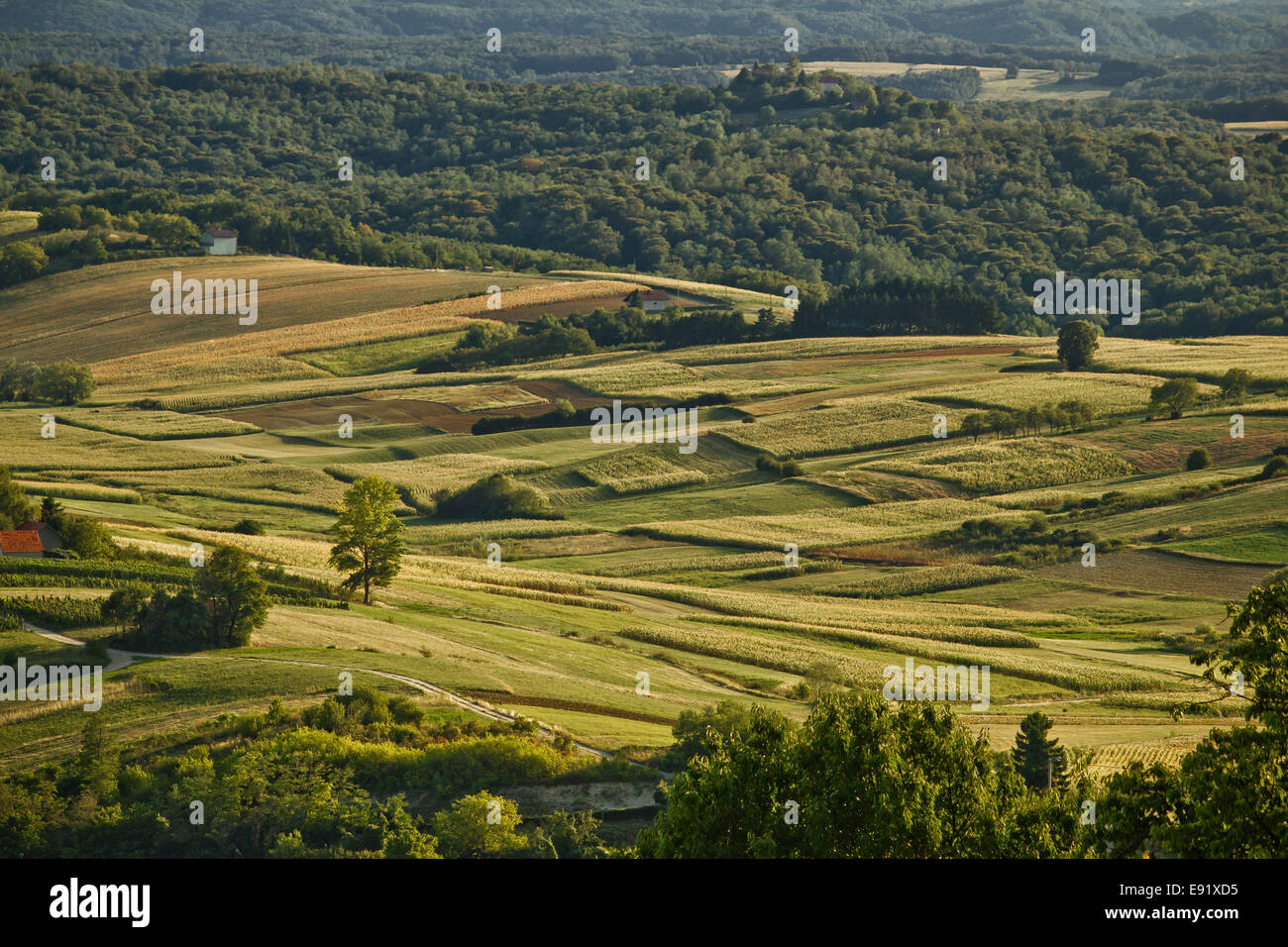 Natural countryside forest valley hi-res stock photography and images ...