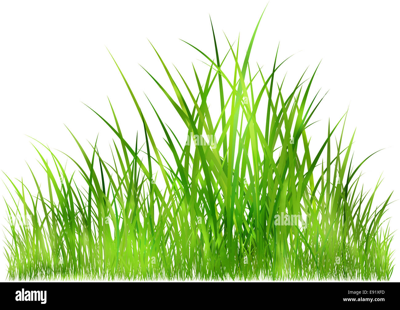 lights on grass Stock Photo - Alamy
