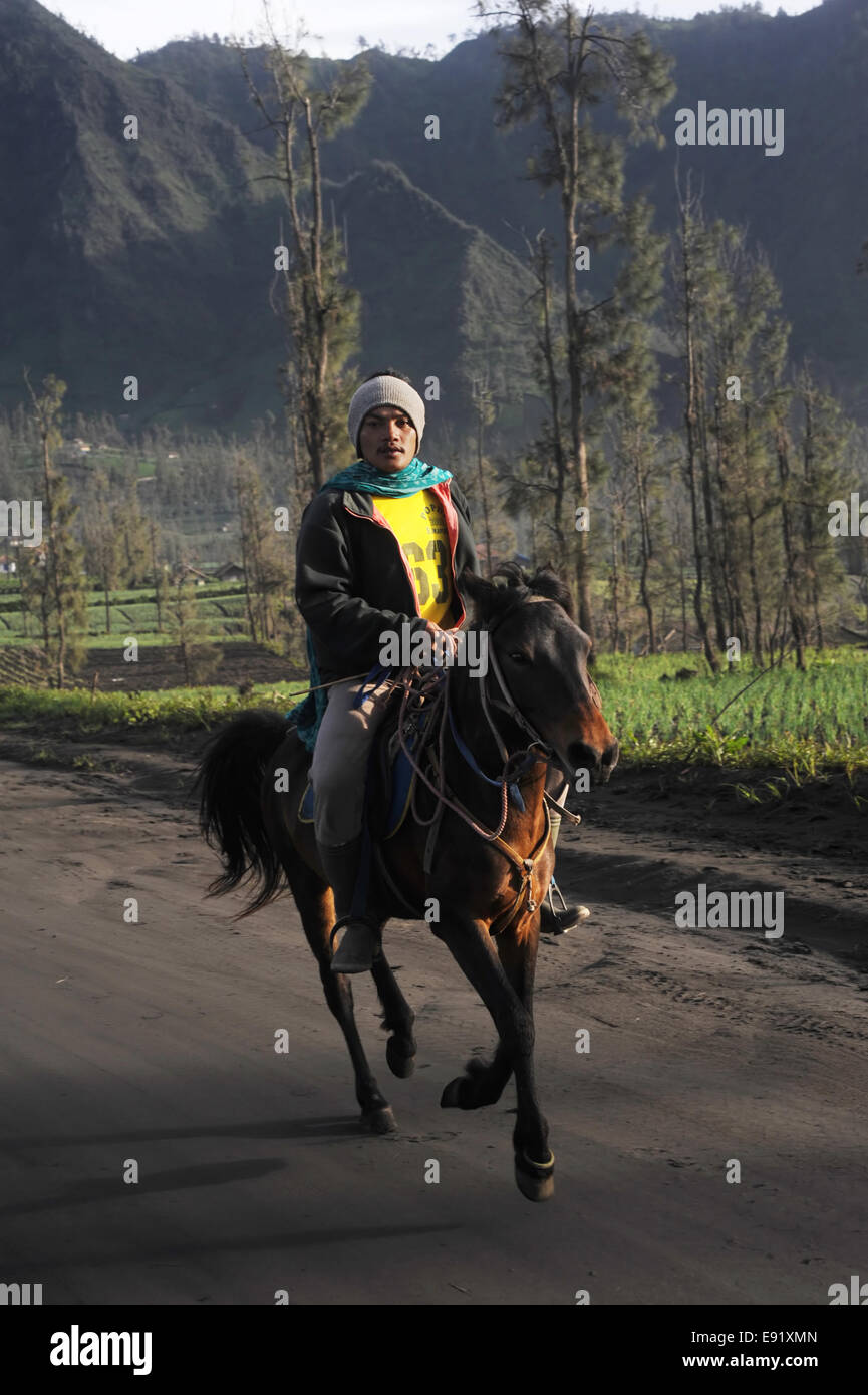 Man riding horse Stock Photo - Alamy