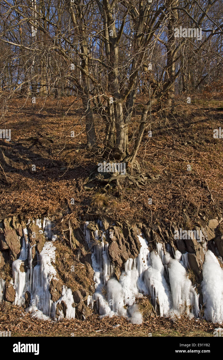 Natural icesculptures in a winterly landscape Stock Photo - Alamy
