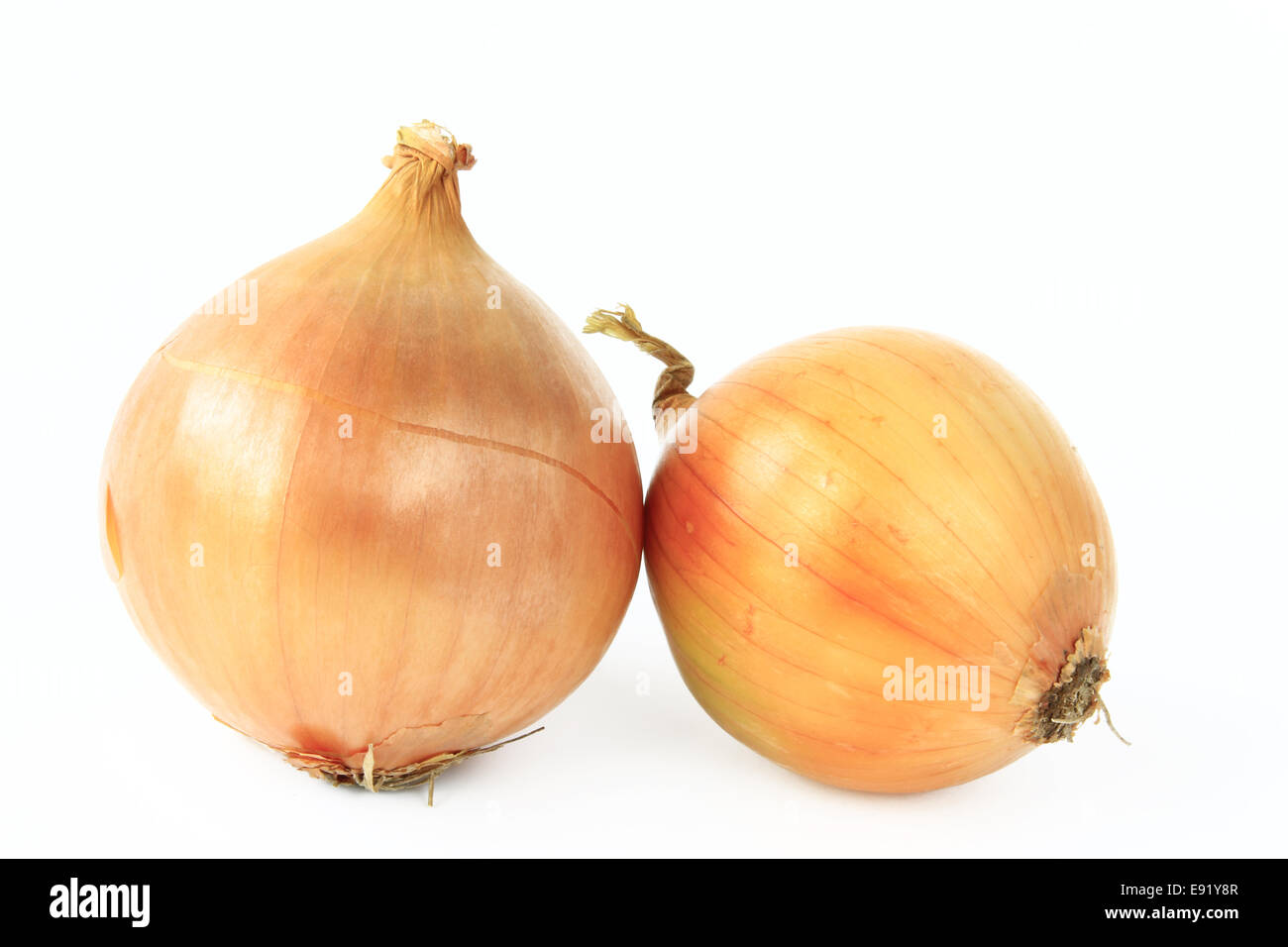 Gemuesezwiebel Cut Out Stock Images & Pictures - Alamy