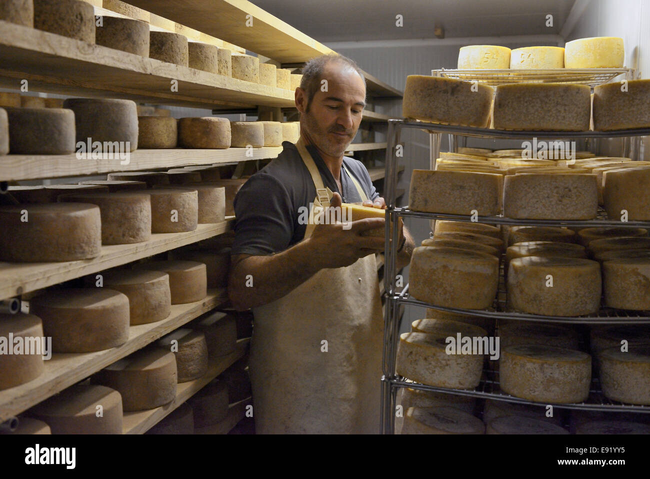 France, Pays Basque, Atlantic Pyrenees, Labourd, ripening cellar of ...