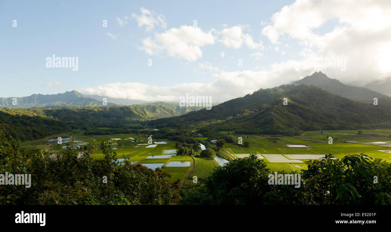 Panorama of Hanalei Valley in Kauai Stock Photo - Alamy