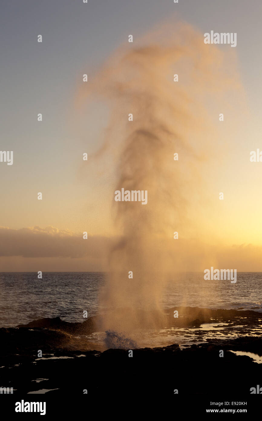 Spouting hi-res stock photography and images - Alamy