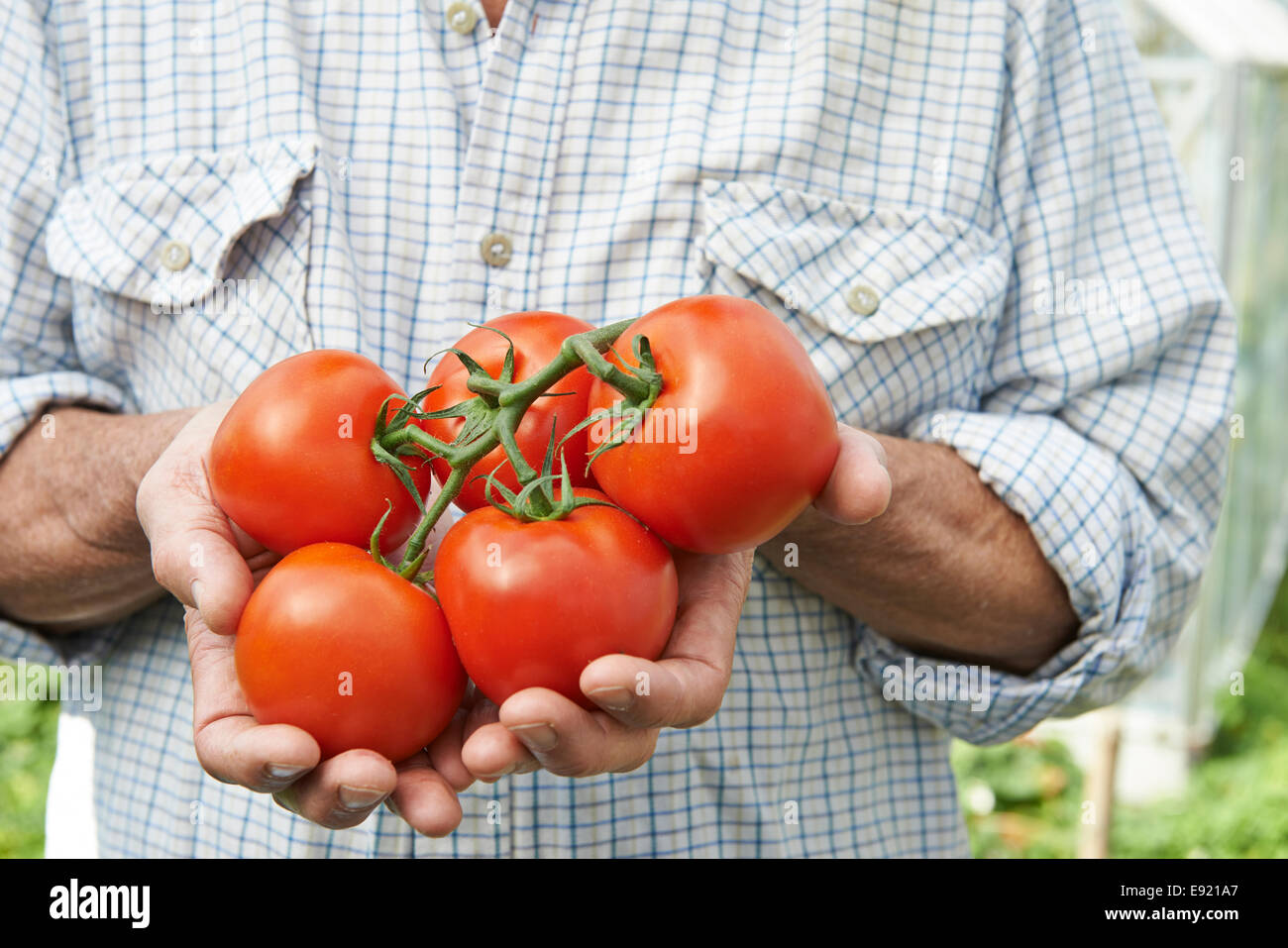 Mature man holding fruit hi-res stock photography and images - Alamy