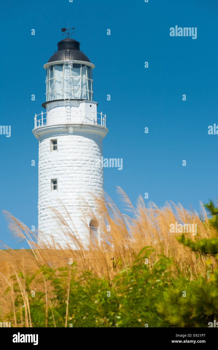 White Lighthouse Tall Grass Vertical Stock Photo - Alamy