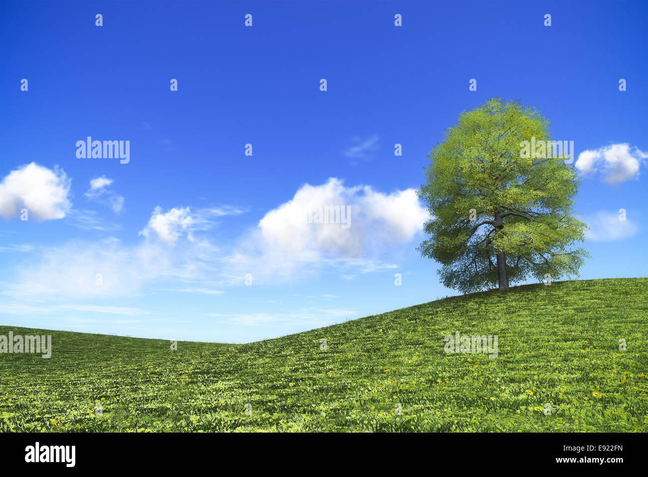 bright day in nature Stock Photo - Alamy
