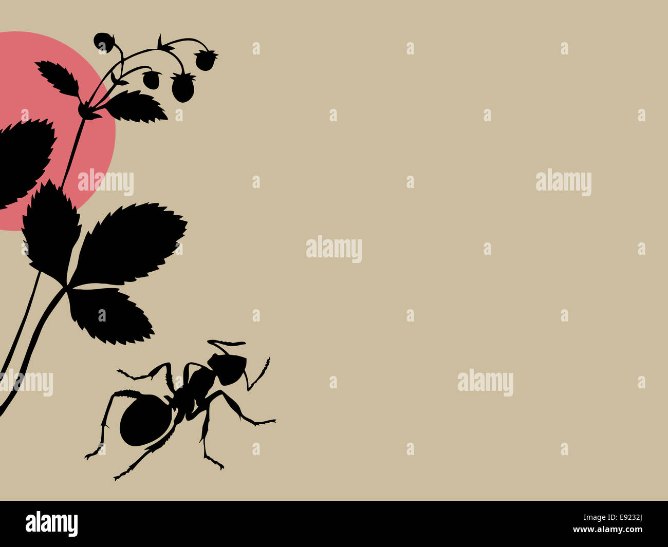 black ant on brown background Stock Photo - Alamy