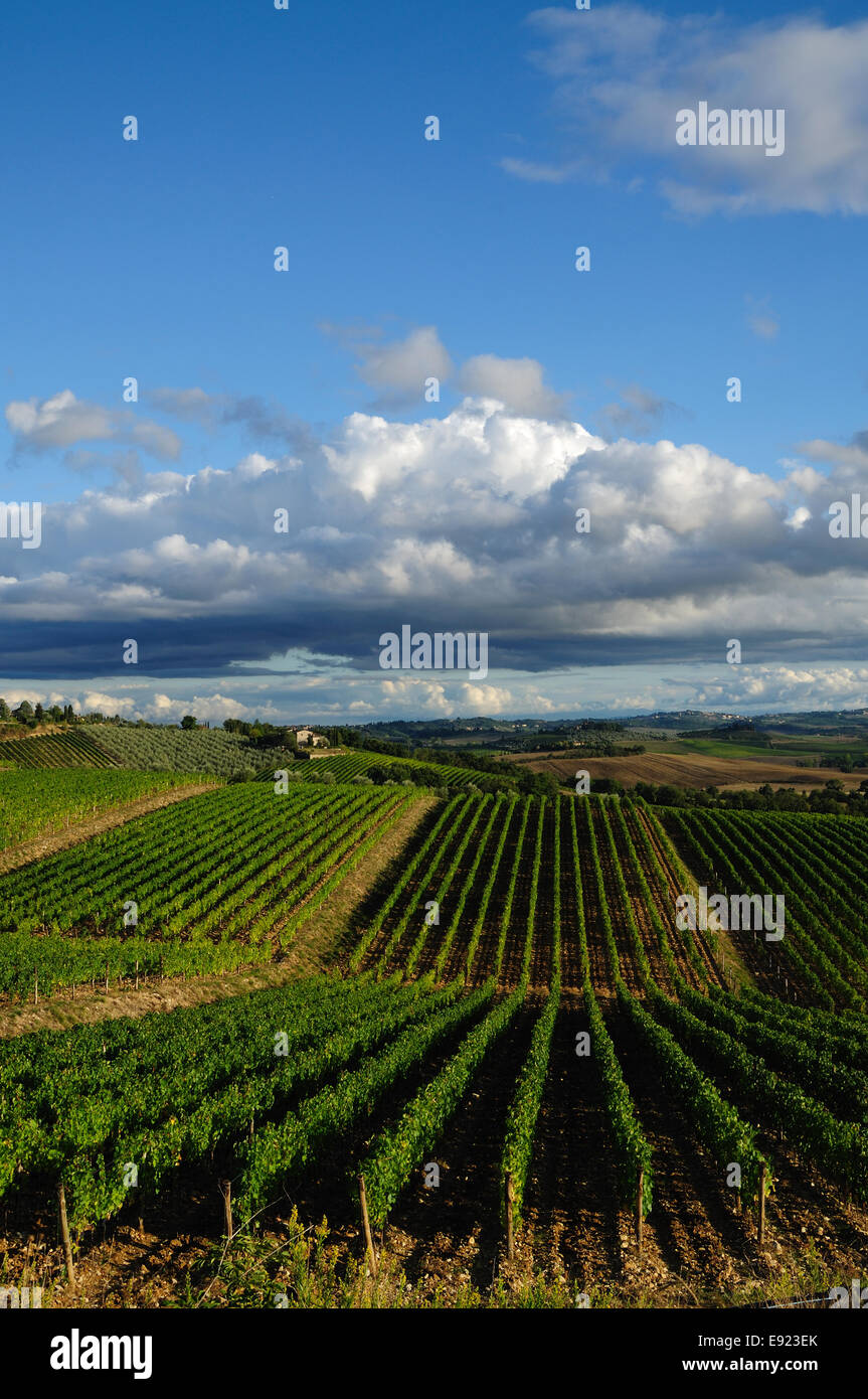 Chianti landscape hi-res stock photography and images - Alamy