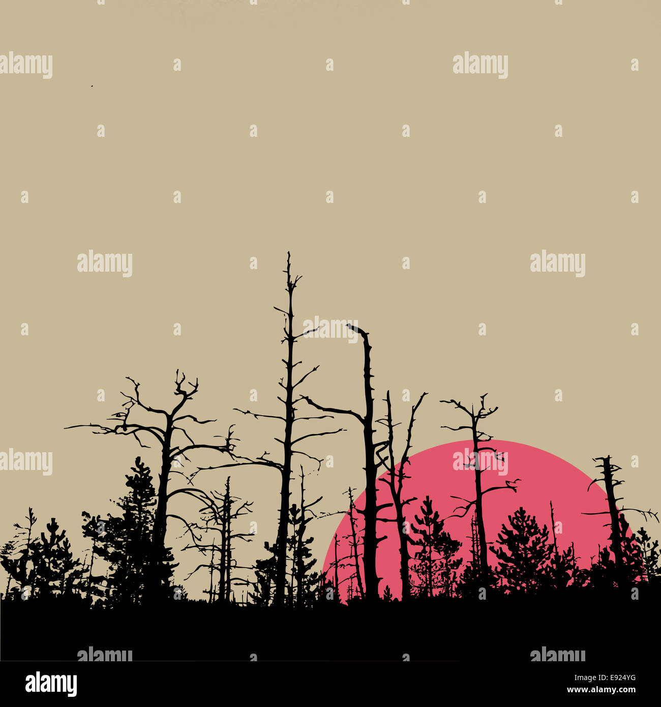 sun in wood on brown background Stock Photo - Alamy