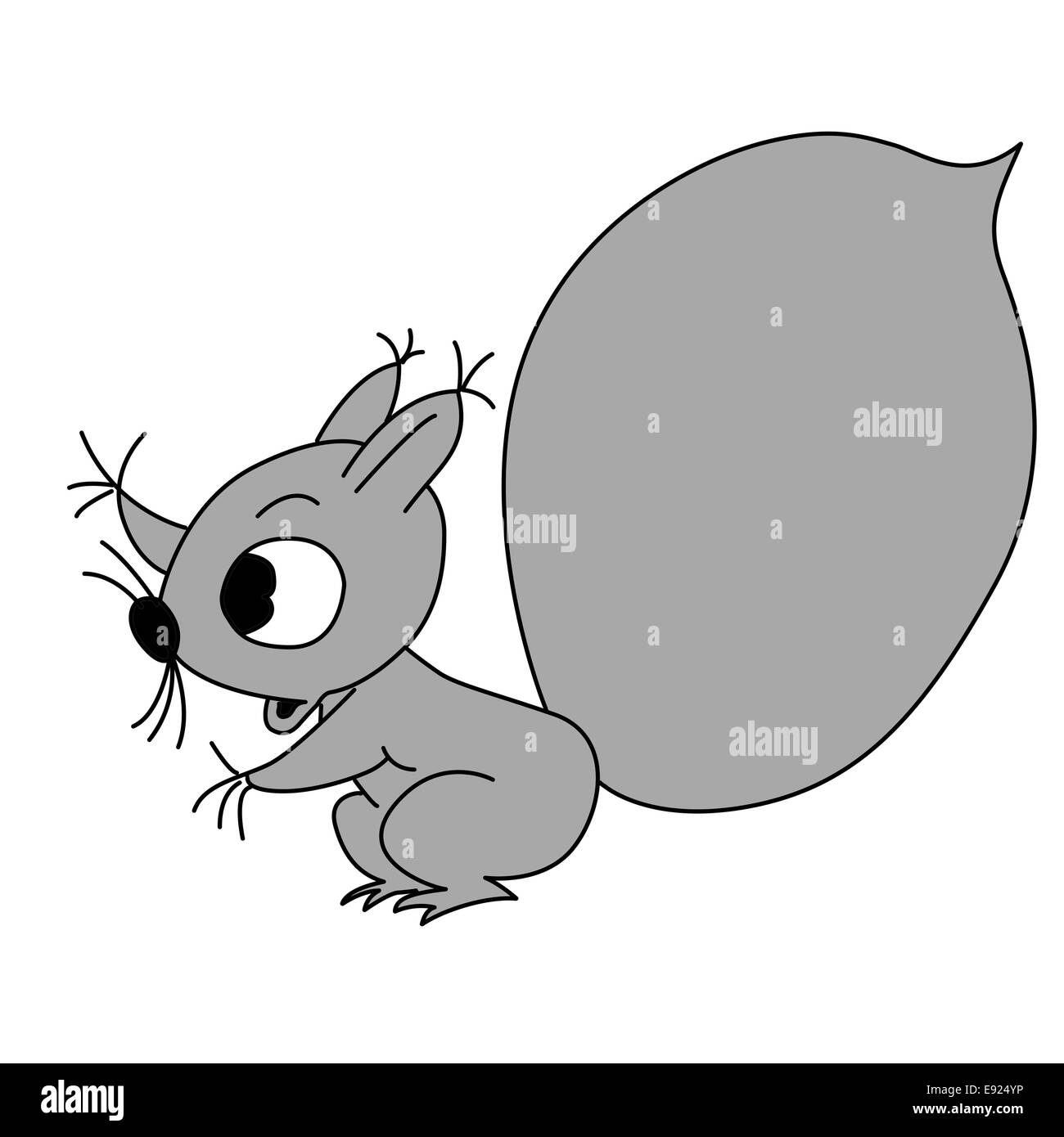 drawing squirrel on white background Stock Photo - Alamy