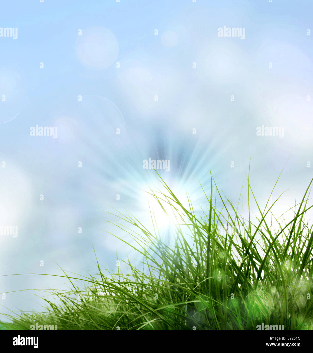 lights on grass Stock Photo - Alamy