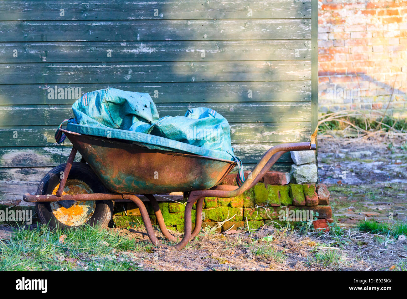 Old rusty wheelbarrow standing in a garden next to a green shed waiting ...