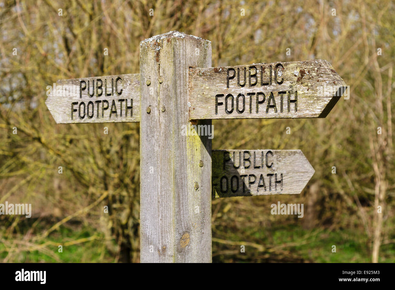 Public footpath sign pointing three ways against a forest background ...