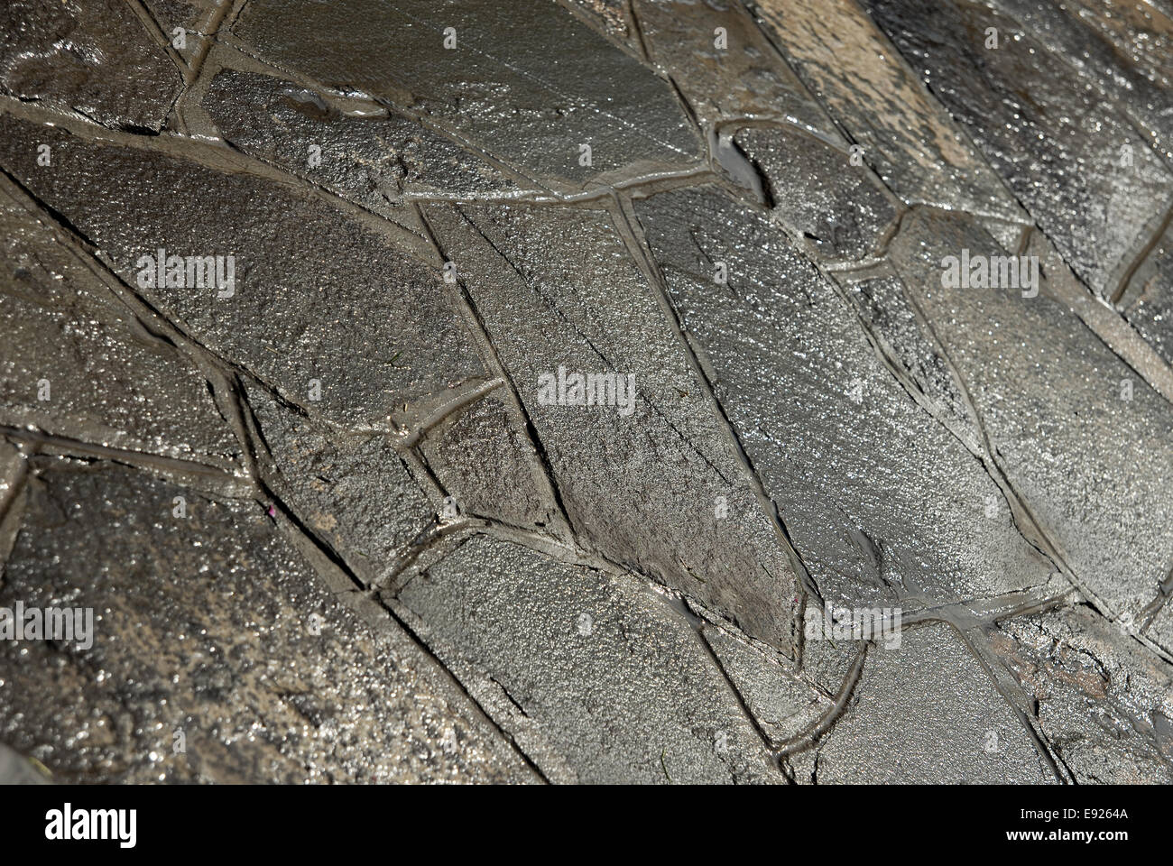 Texture of the wet concrete yard Stock Photo - Alamy