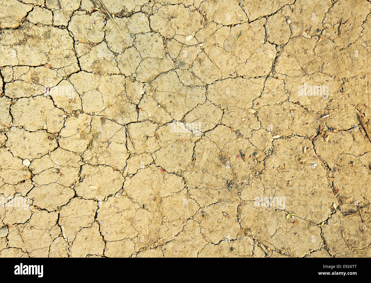 Aridity hi-res stock photography and images - Alamy