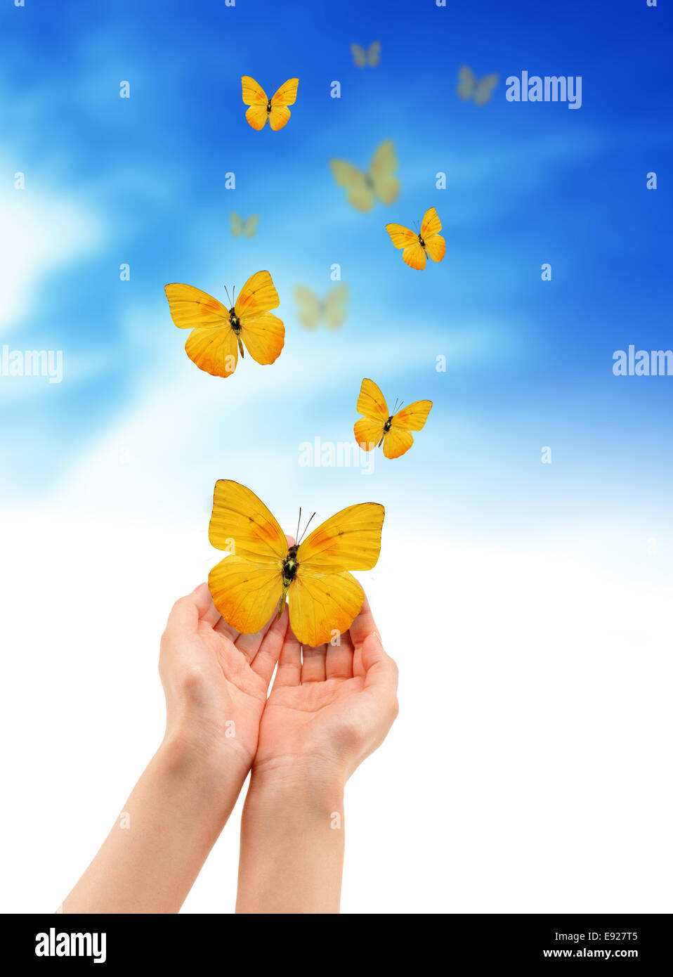 Hands with Butterflies Stock Photo - Alamy