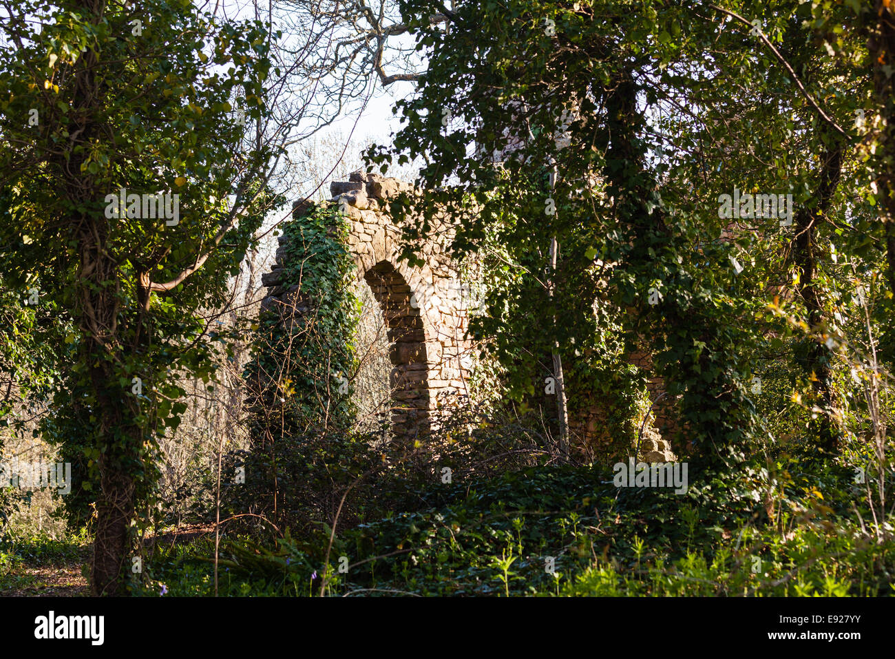 Castle ruined window hi-res stock photography and images - Alamy