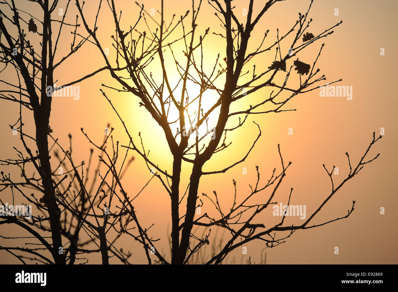 Sunrise in backlight Stock Photo - Alamy