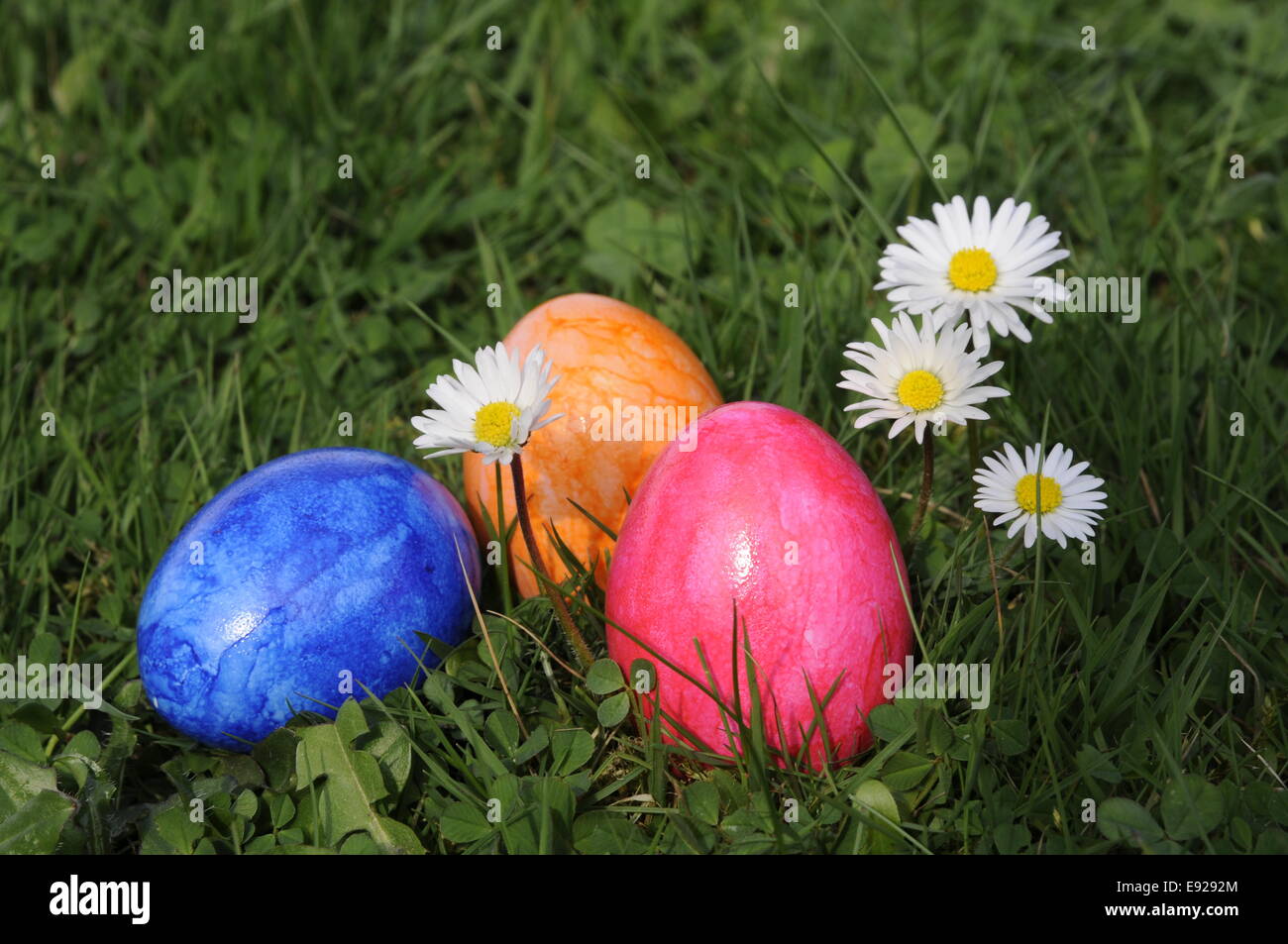 Ostereier farben hi-res stock photography and images - Alamy