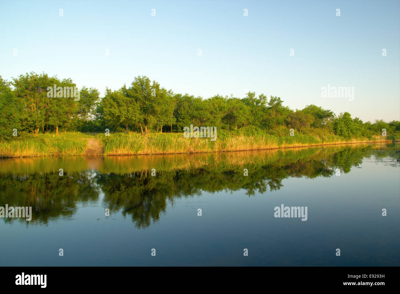 River bank grasses hi-res stock photography and images - Alamy