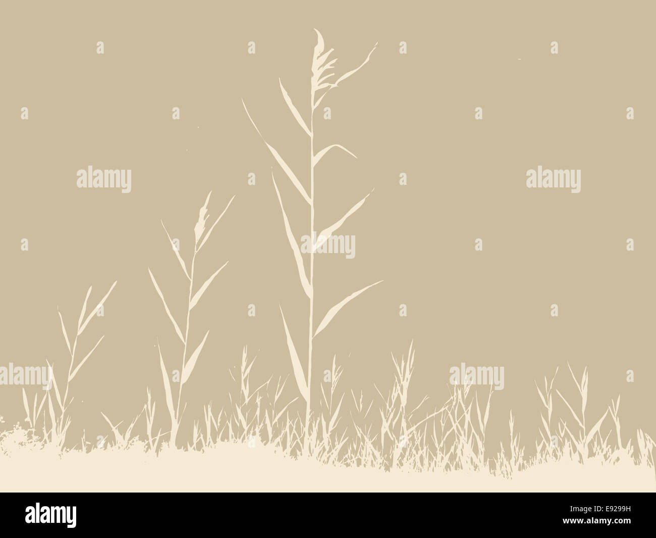 Grunger hi-res stock photography and images - Alamy