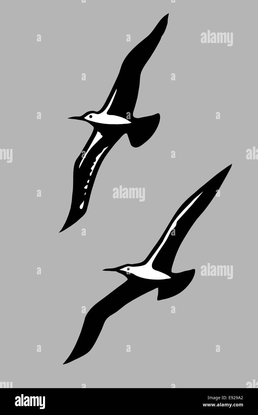 Flying birds group Black and White Stock Photos & Images - Alamy