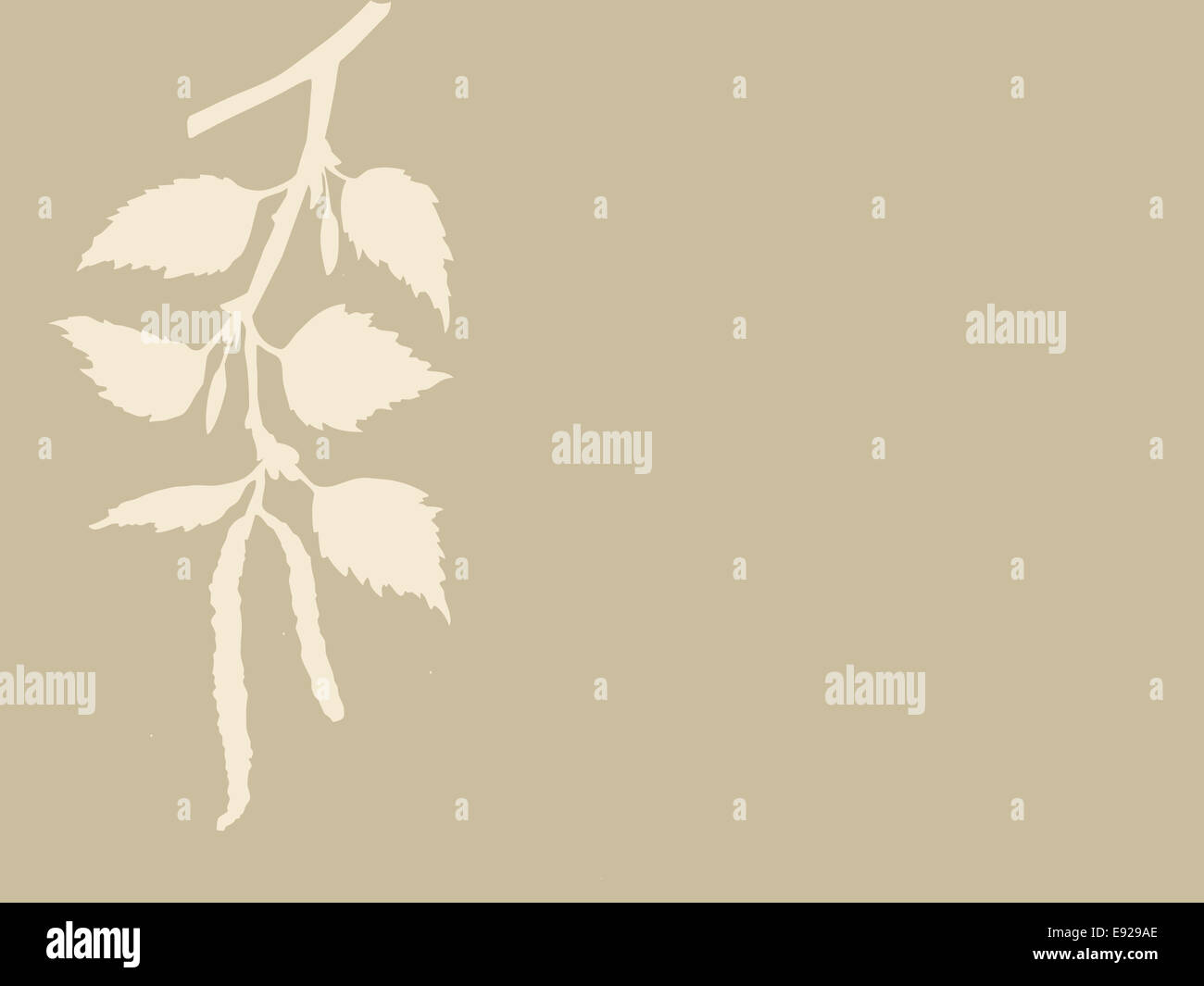 Cartoon birch hi-res stock photography and images - Alamy