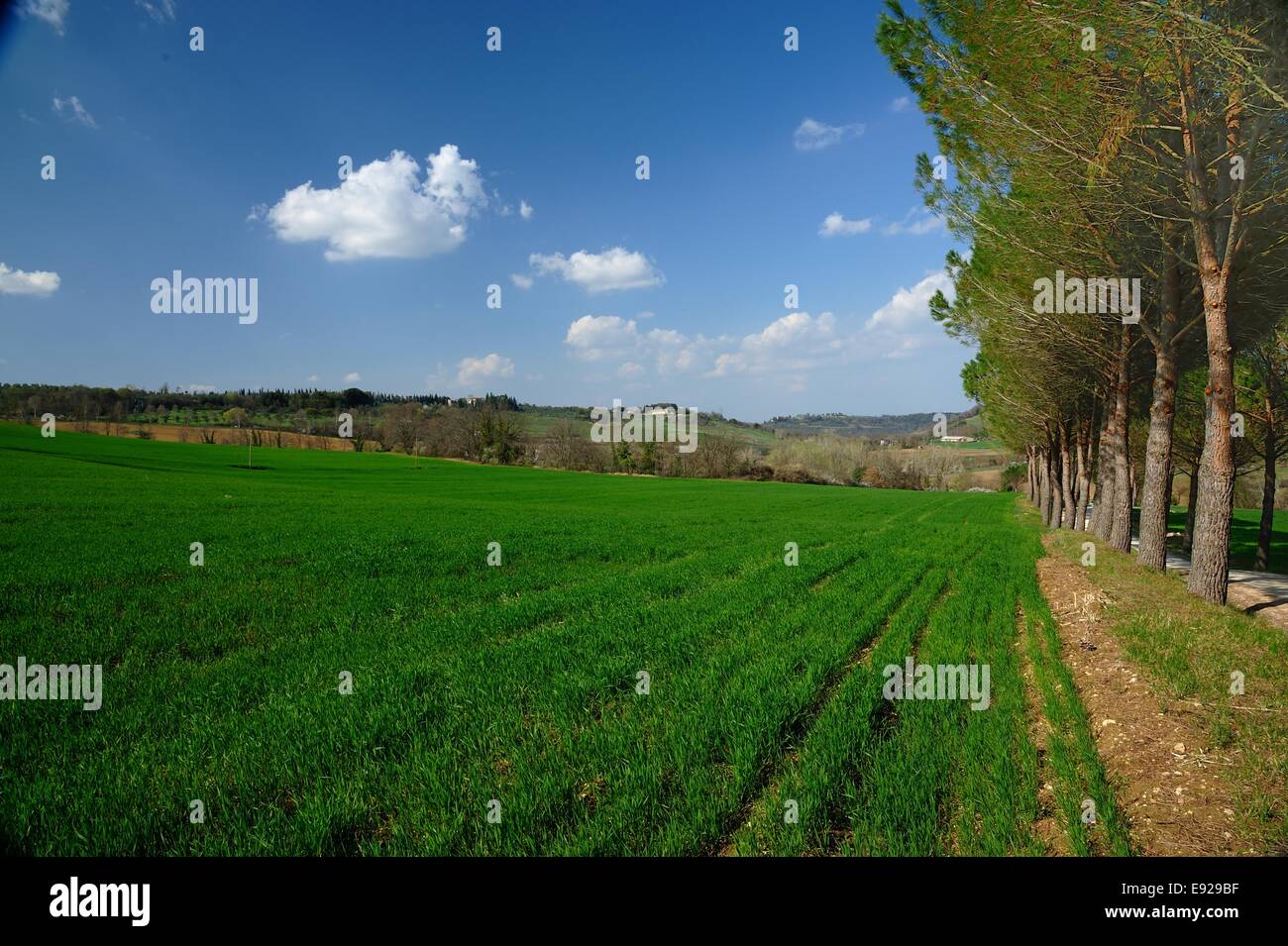 Greenfield under a blue sky Stock Photo - Alamy