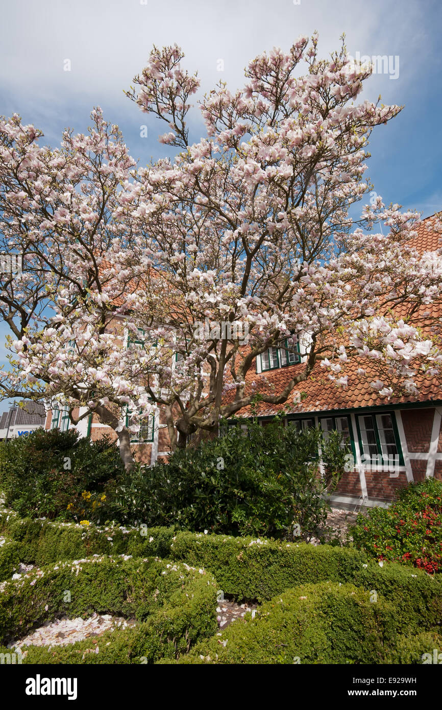 Buildings in Jork, Germany Stock Photo - Alamy